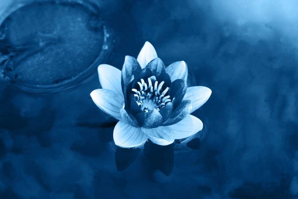 Psicología del color azul: Significado y efectos en la mente humana ...